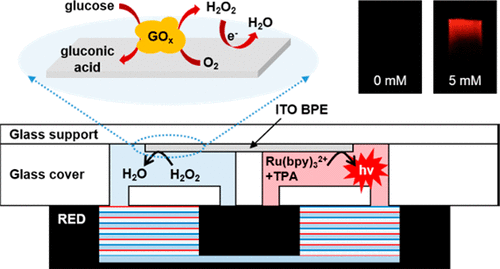 Miniaturized Reverse Electrodialysis-Powered Biosensor Using ...