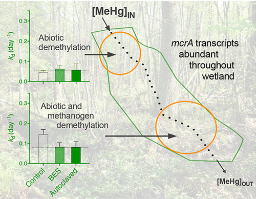 Al木沼泽中甲基汞净降解的机制：产甲烷菌和非生物过程的作用,Environmental Science & Technology ...