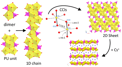 Observation of an Unusual Uranyl Cation–Cation Interaction in the ...