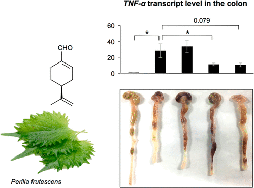 Intestinal Anti-Inflammatory Activity of Perillaldehyde,Journal of ...