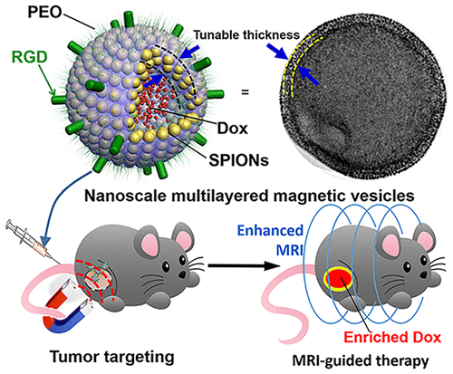 具有可调壁厚和渗透性的磁纳米囊泡的协同组装，用于 MRI 引导的药物输送,Journal of the American Chemical ...