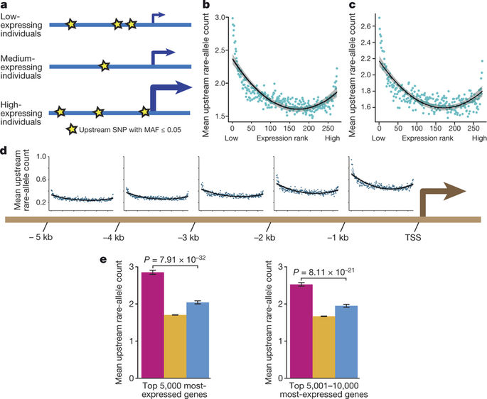 Dysregulation of expression correlates with rare-allele burden and ...