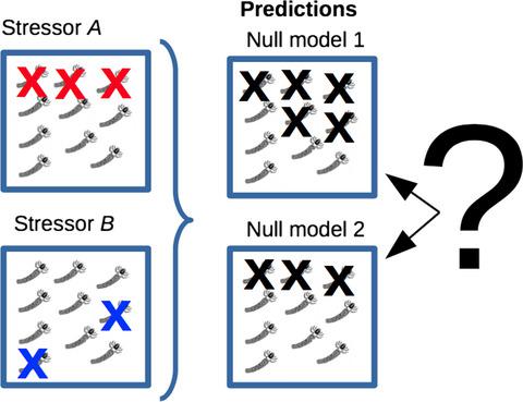 Advancing understanding and prediction in multiple stressor research ...