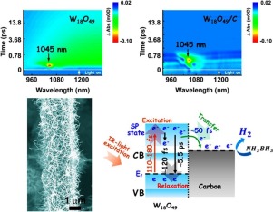 Direct evidence of IR-driven hot electron transfer in metal-free plasmonic W18O49/Carbon ...