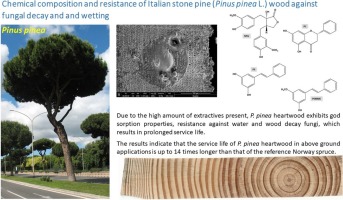 Chemical composition and resistance of Italian stone pine (Pinus pinea ...