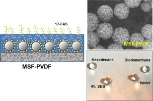 Preparation of Omniphobic PVDF Membrane with Hierarchical Structure for ...