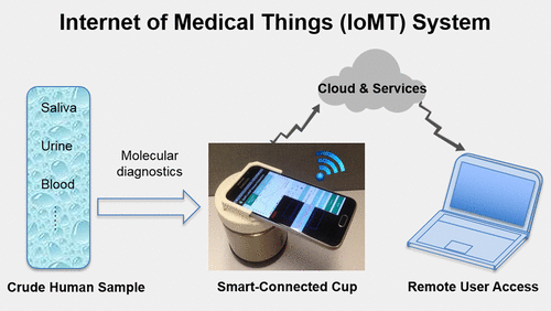 Smartphone-Based Mobile Detection Platform for Molecular Diagnostics ...