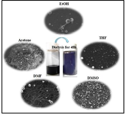 探索溶剂对纳米结构四苯胺的透析诱导自组装的影响,ChemistrySelect - X-MOL