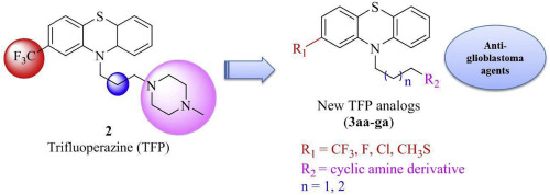 抗精神病药物三氟拉嗪的重新定位：三氟拉嗪类似物作为抗胶质母细胞瘤药物的合成，生物学评估和 计算机 研究,European Journal of ...