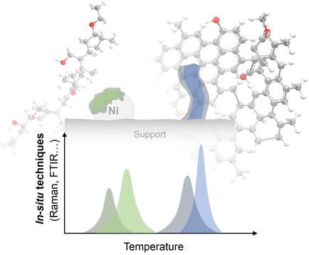Temperature Programmed Oxidation Coupled with In Situ Techniques Reveal ...
