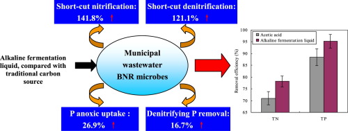 Increasing municipal wastewater BNR by using the preferred carbon ...