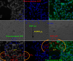 Turn on macrocyclic chemosensor for Al3+ ion with facile synthesis and ...