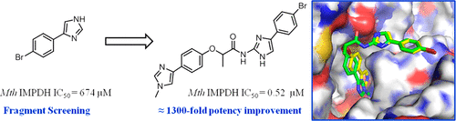 Fragment-Based Approach to Targeting Inosine-5'-monophosphate ...