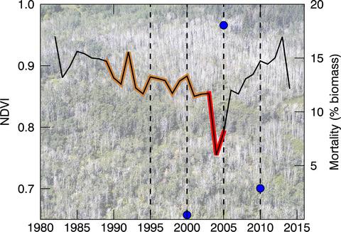 Detecting early warning signals of tree mortality in boreal North ...