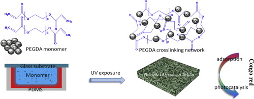 One-step synthesis of bifunctional PEGDA/TiO 2 composite film by ...