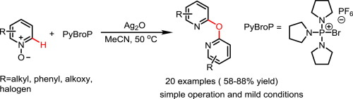 Dehydrogenative etherification homocoupling of heterocyclic N-oxides ...