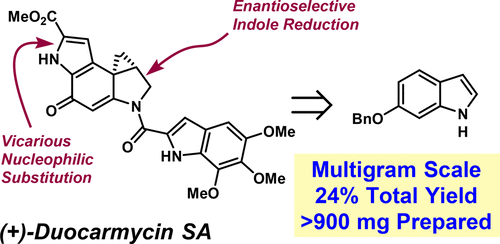 An Enantioselective Total Synthesis of (+)-Duocarmycin SA,The Journal ...