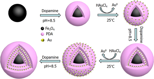Magnetically Separable Nanocatalyst with the Fe3O4 Core and ...