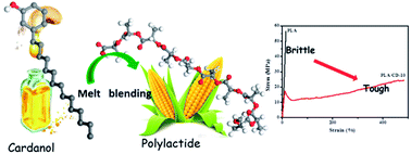 An environmentally sustainable plasticizer toughened polylactide,RSC ...