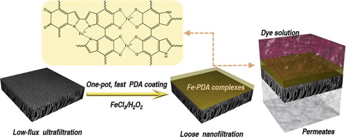 A rapid deposition of polydopamine coatings induced by iron (III ...