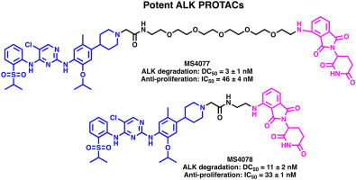 Proteolysis Targeting Chimeras (PROTACs) of Anaplastic Lymphoma Kinase (ALK),European Journal of ...