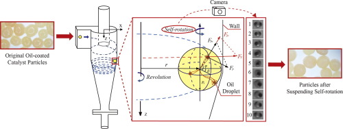 Deoiling of oil-coated catalyst using high-speed suspending self-rotation in cyclone,Separation ...