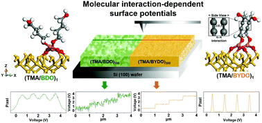 依序聚合的Alucone膜的分子相互作用依赖性表面电势 † ,Chemical Communications - X-MOL
