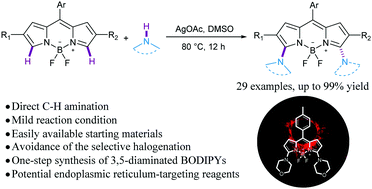 Silver-mediated direct C–H amination of BODIPYs for screening ...
