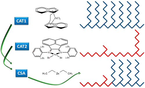 Synthesis and Characterization of Isotactic Poly(1-hexene)/Branched ...