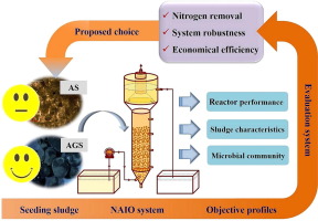 Chemolithotrophic denitrification by nitrate-dependent anaerobic iron ...