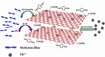 Sulfonated graphene oxide as an adsorbent for removal of Pb2+ and ...
