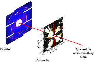Microstructure characterization in a single isotactic polypropylene ...