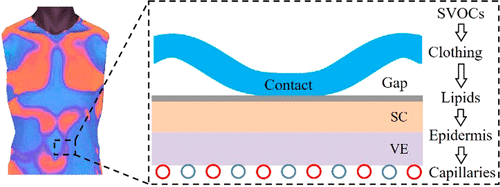 Predicting Dermal Exposure to Gas-Phase Semivolatile Organic Compounds ...