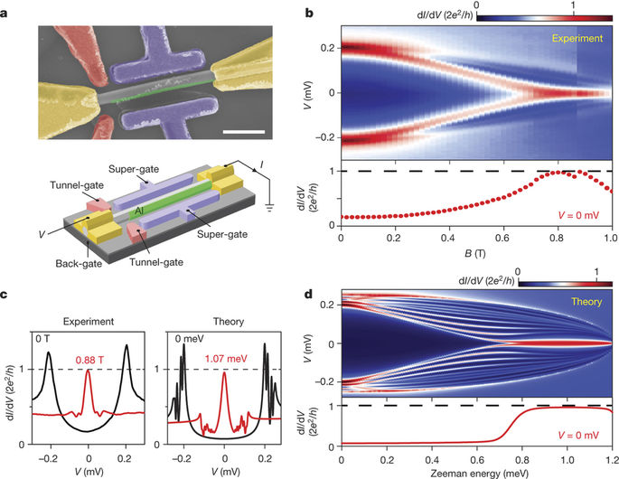 Quantized Majorana conductance,Nature - X-MOL