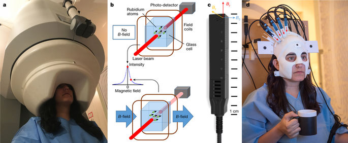 Moving magnetoencephalography towards real-world applications with a ...