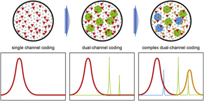 Dual-channel-coded microbeads for multiplexed detection of biomolecules ...