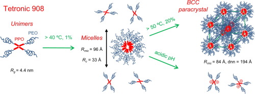 四嵌段共聚物Tetronic 908的相行为，胶束结构和线性流变学,Journal of Colloid and Interface ...
