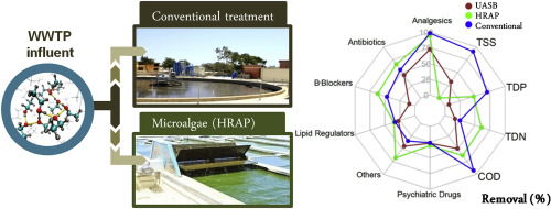 Removal of pharmaceuticals in urban wastewater: High rate algae pond ...