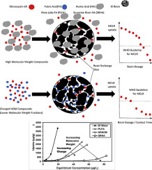 使用强碱性阴离子交换树脂的微囊藻毒素-LR与天然有机物（NOM）组分之间竞争性摄取的特征,Water Research - X-MOL