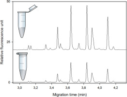 Evaporative fluorophore labeling of carbohydrates via reductive ...