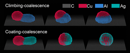 How Do Different Liquid Metal Films Coalesce on Carbon Substrates?,The ...