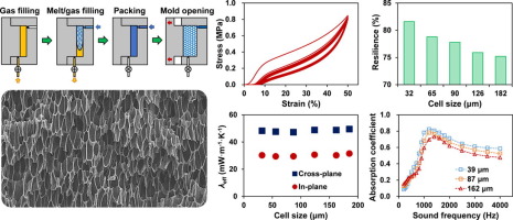 Lightweight, super-elastic, and thermal-sound insulation bio-based PEBA ...