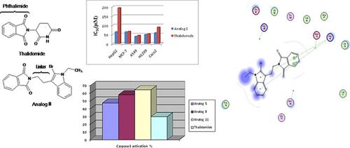 Design, synthesis, biological evaluations, molecular docking, and in vivo studies of novel ...