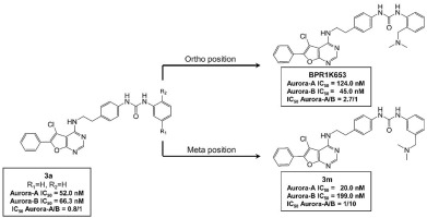 Design and synthesis of BPR1K653 derivatives targeting the back pocket ...