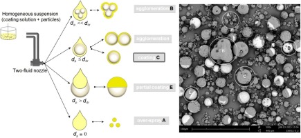 Coating of finely dispersed particles by two-fluid nozzle,Particuology ...