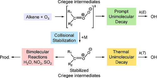 Criegee中间体对OH自由基产物的单分子衰变：瞬变和热衰变过程,Accounts of Chemical Research - X-MOL