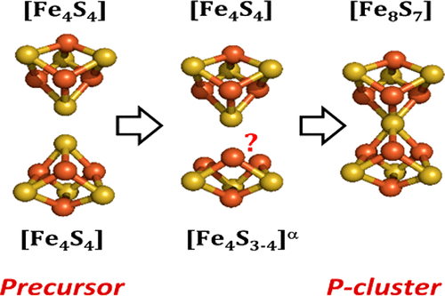 A VTVH MCD and EPR Spectroscopic Study of the Maturation of the “Second ...
