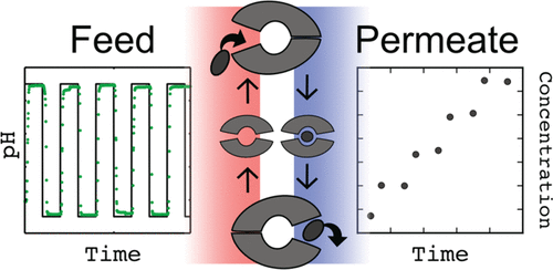 Polymeric Ion Pumps: Using an Oscillating Stimulus To Drive Solute ...