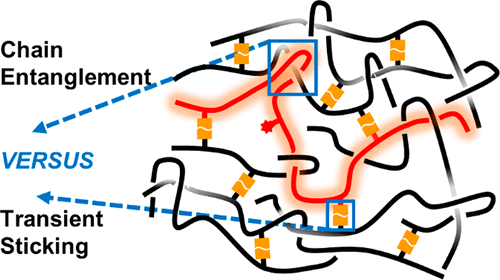 Dominance of Chain Entanglement over Transient Sticking on Chain ...