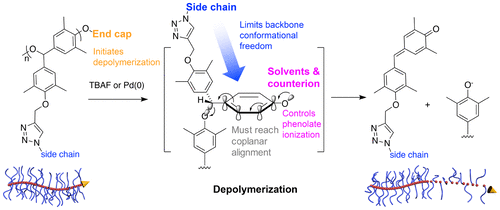 Modulating the Depolymerization of Self-Immolative Brush Polymers with ...